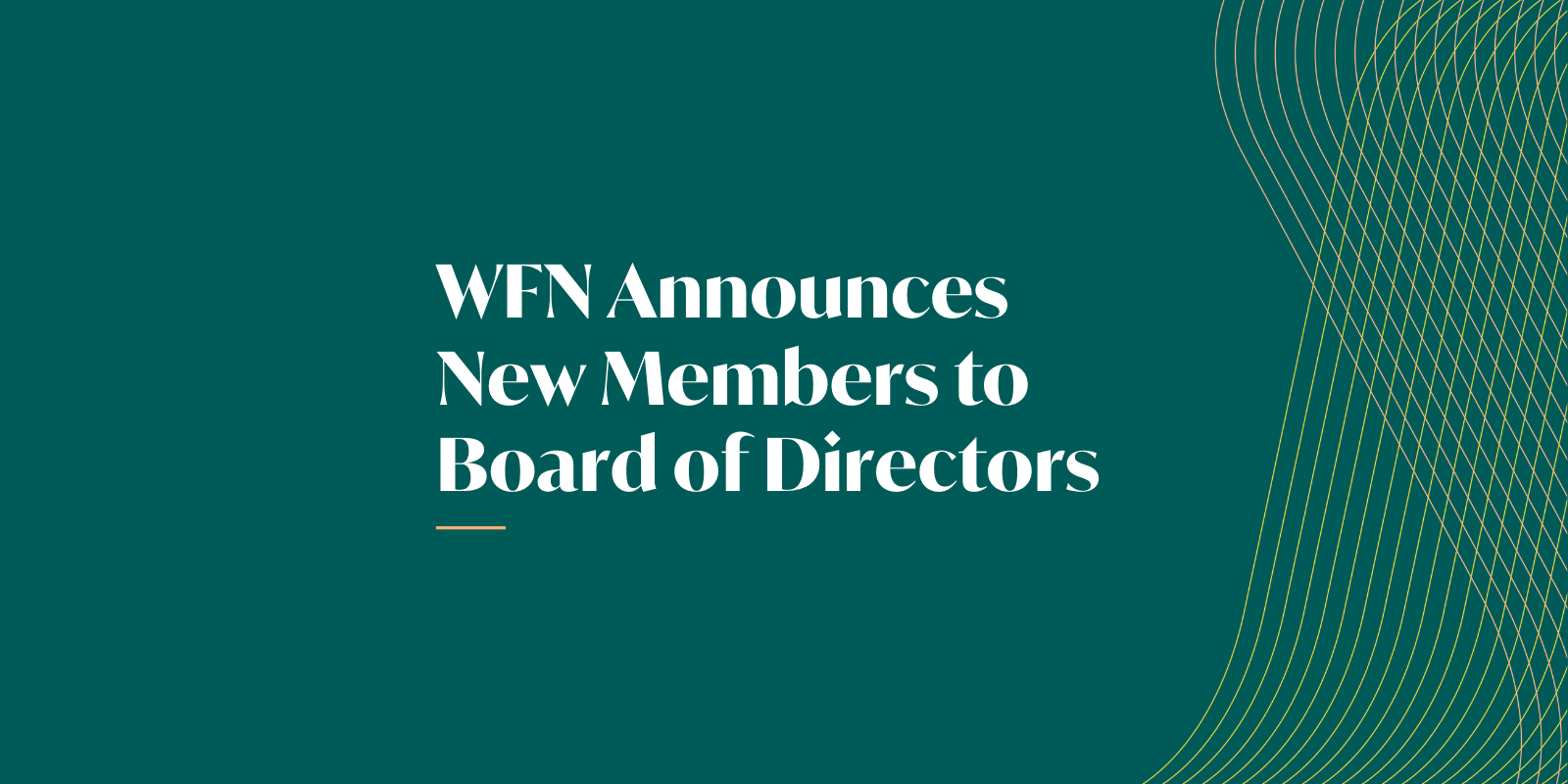 WFN Announces Four New Board Members - Women's Funding Network
